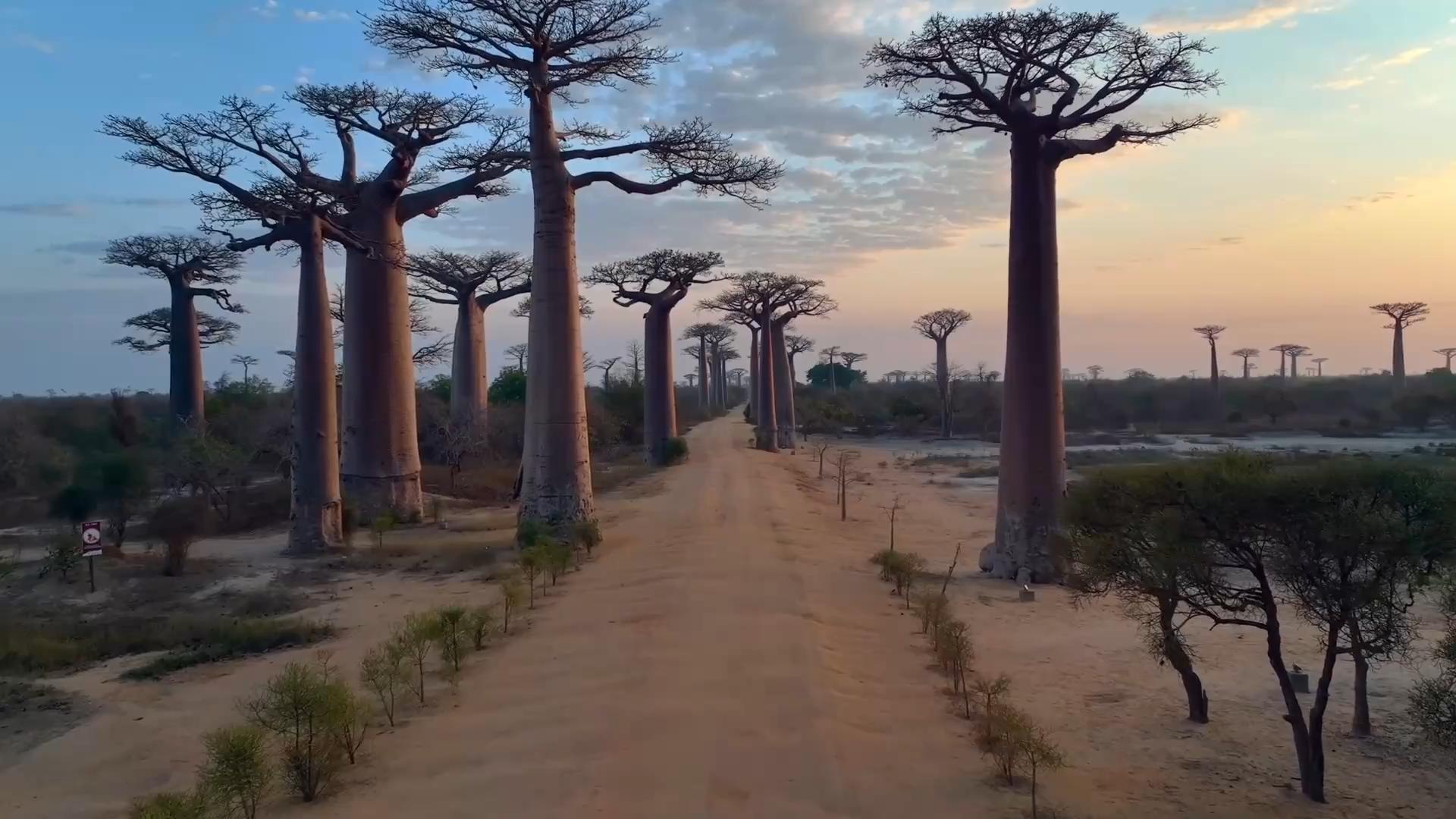 Madagascar Group Tours for Australian Travelers